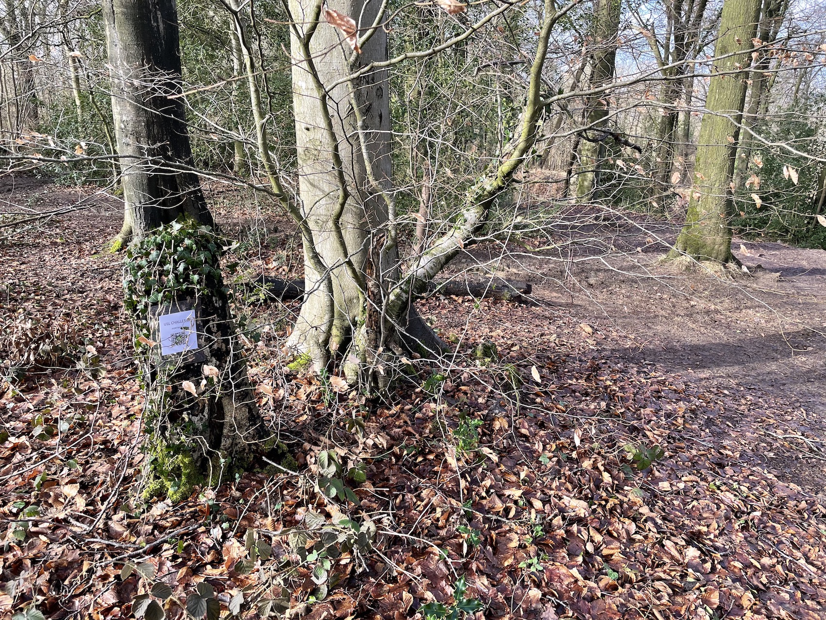 The USL PEAKS Challenge – Nutty Badgers ESU